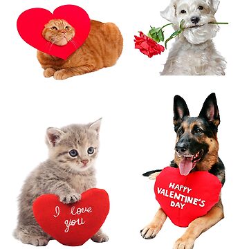 "Cute Cat and Dog Valentine’s Day Pack" Sticker for Sale by TynesDesign ...
