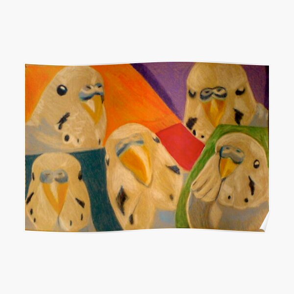 Póster «Budgie Budgie» de parakeetart | Redbubble