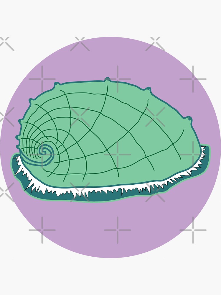"Abalone" Sticker by nicebutton | Redbubble