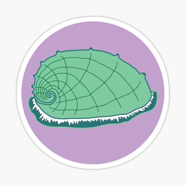 "Abalone" Sticker by nicebutton | Redbubble
