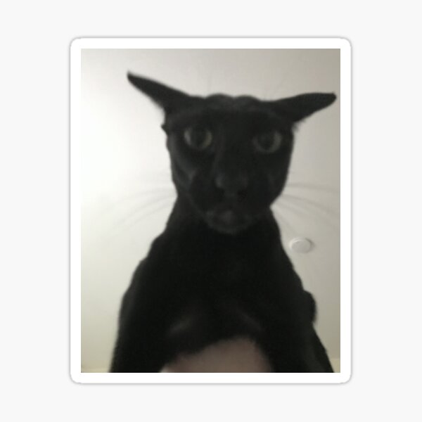 "Evil Larry" Sticker for Sale by Hobbikats | Redbubble