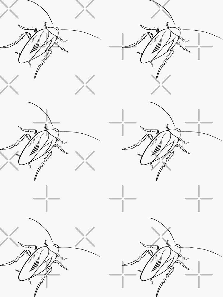 "DIY Cockroach Sketch – The Ultimate Prank & Symbol of Survival ...