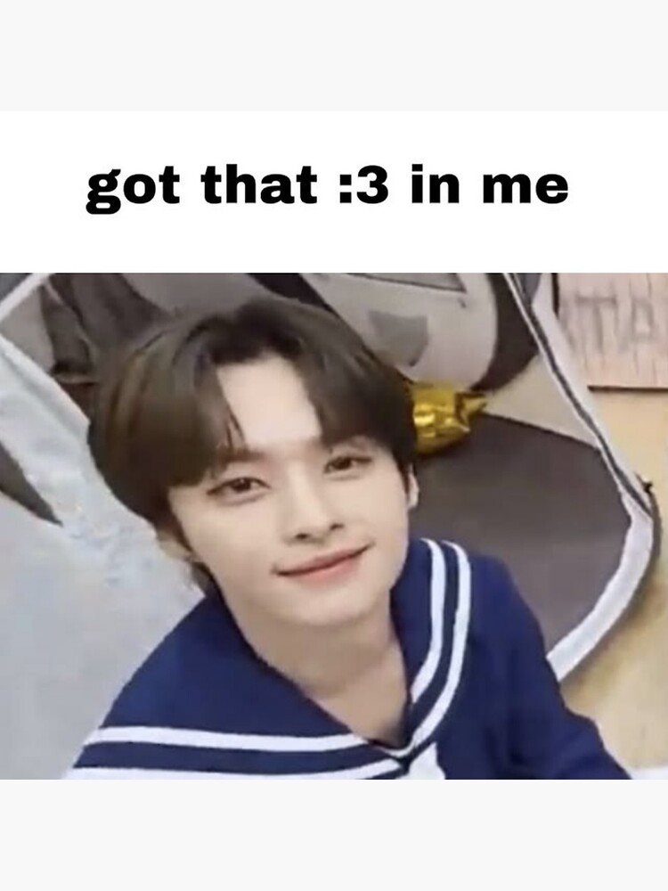 "Stray Kids Lee Know meme got that :3 in me" Sticker for Sale by ...