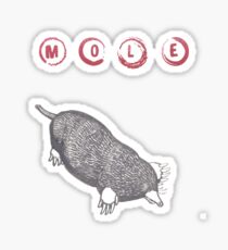 Rat Stickers | Redbubble