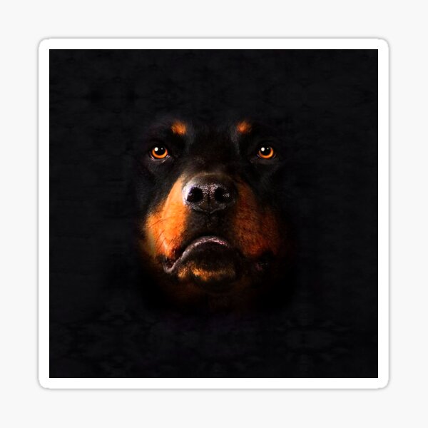 "Rottweiler Face" Sticker for Sale by ohtees | Redbubble