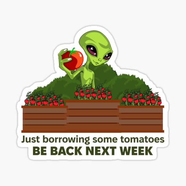 "Just borrowing some tomatoes BE BACK NEXT WEEK" Sticker for Sale by ...
