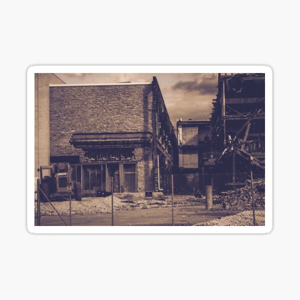 "Decay" Sticker for Sale by Cranemann | Redbubble