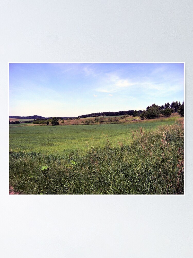 "Photo landscape meadow" Poster for Sale by PM-Artistic | Redbubble