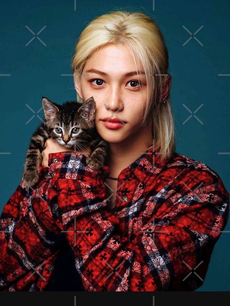 "cute kitty cat Stray Kids Lee Felix sunshine yongbok ethereal prince ...