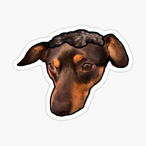 Shedletsky Merch & Gifts for Sale | Redbubble