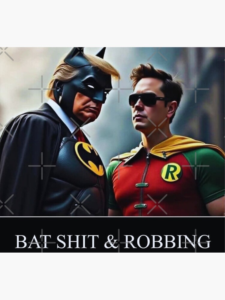 "Elon Musk First Lady 2025, Funny Elonia Musk&trump Sticker" Sticker ...