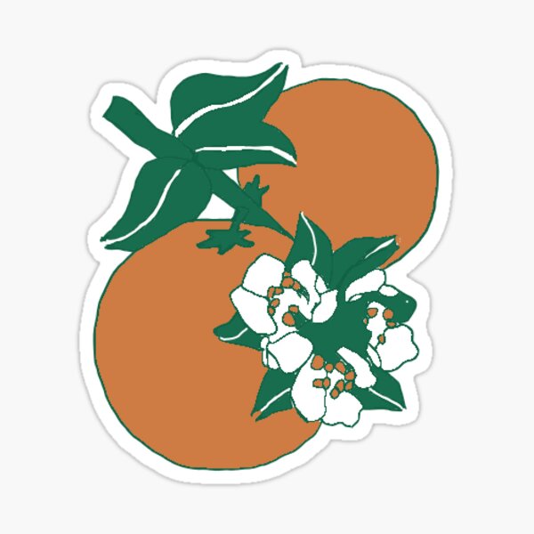 Pegatina «Estado de Florida - Orange Blossom» de elnise | Redbubble
