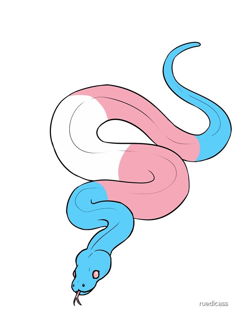 "Transgender Pride Snake" iPhone Case for Sale by ruedicass | Redbubble