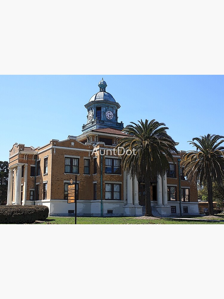 "Courthouse - Inverness, Florida" Poster for Sale by AuntDot | Redbubble