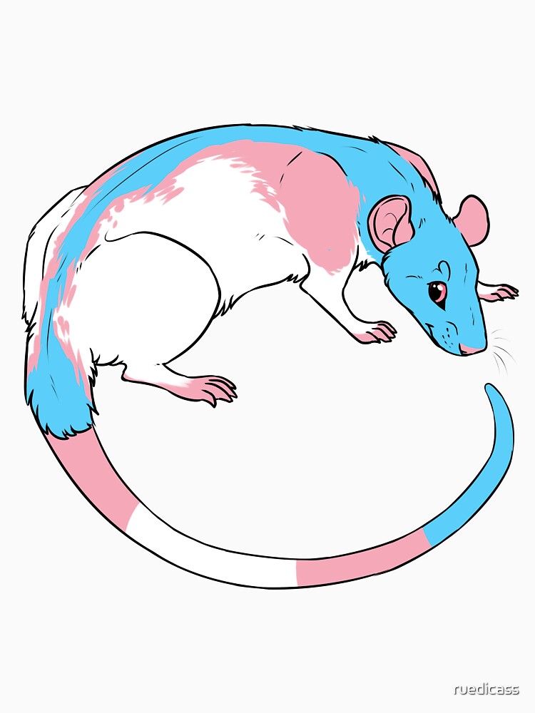 "Transgender Pride Rat" T-shirt for Sale by ruedicass | Redbubble ...