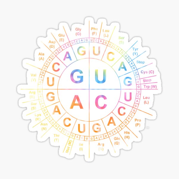 "Colorful Codon Chart" Sticker for Sale by ScienceyShirts | Redbubble