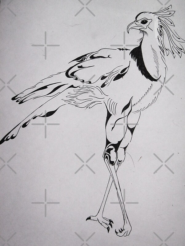 "Secretary bird" by Kestrelle | Redbubble