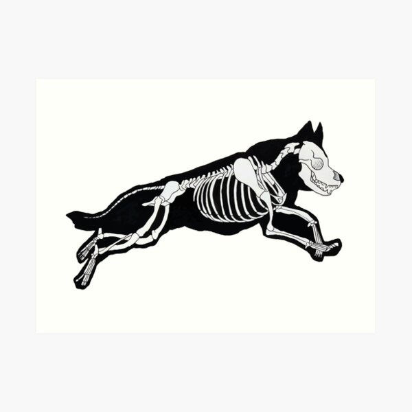 "Dog Skeleton" Art Print for Sale by conortravers | Redbubble