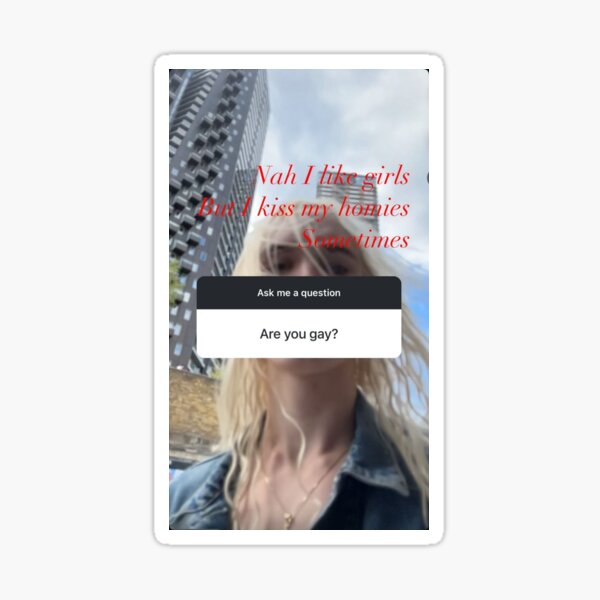 "2hollis IG Story " Sticker for Sale by cinlali | Redbubble