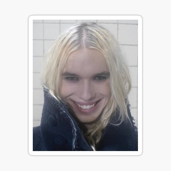 "2hollis" Sticker for Sale by cinlali | Redbubble