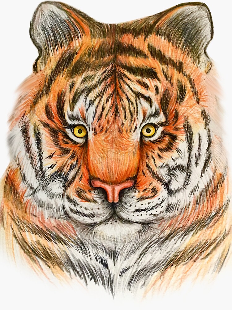 "Tiger face." Sticker for Sale by PunknSpiceKitty | Redbubble