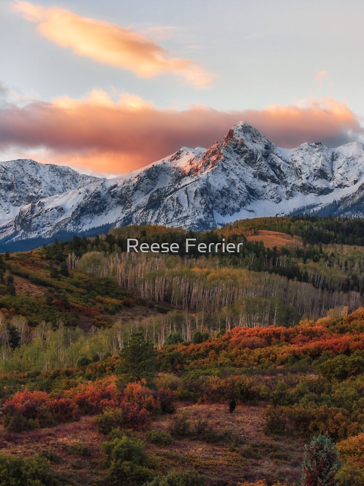 "Dallas Divide" Sticker for Sale by rferrier | Redbubble