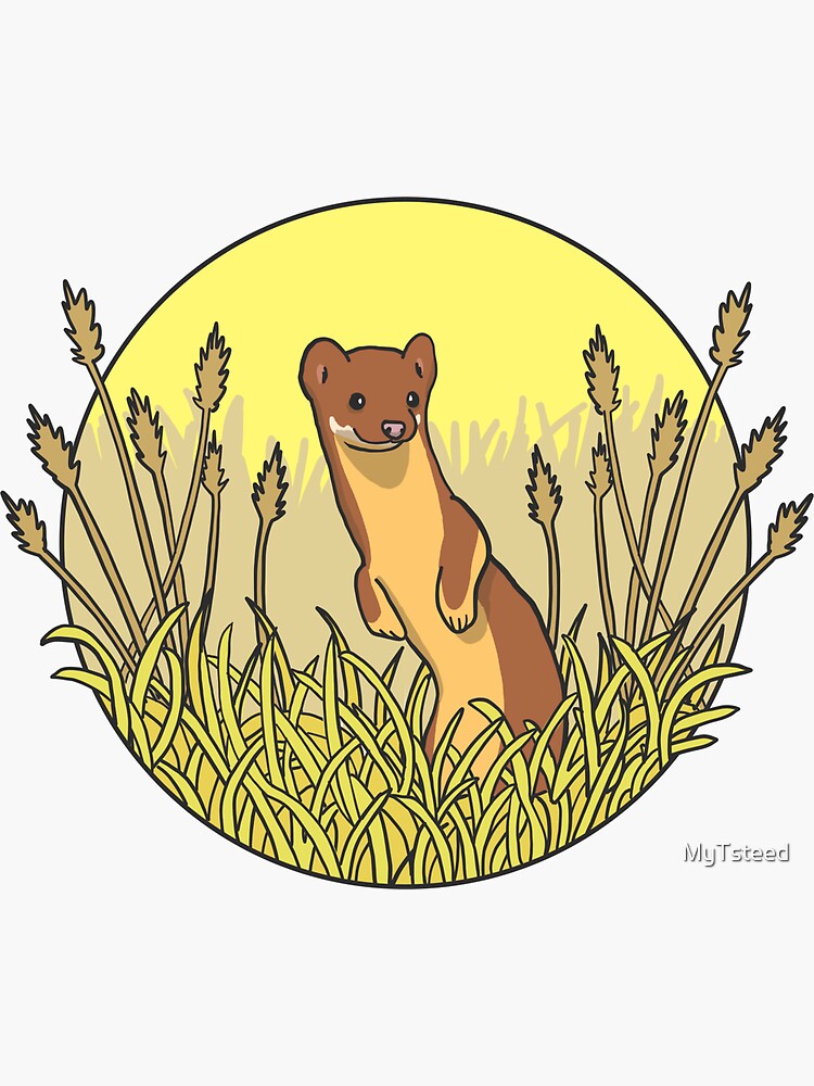 "Weasel" Sticker for Sale by Peter Steedman | Redbubble