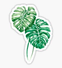 Monstera Stickers | Redbubble