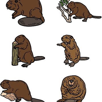 "Beaver Stickers Set – Industrious Wildlife Art for Nature Lovers ...