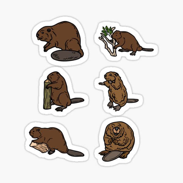 "Beaver Stickers Set – Industrious Wildlife Art for Nature Lovers ...