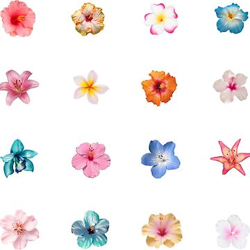 "Tropical Flowers Sticker Pack" Sticker for Sale by abigailwiley ...