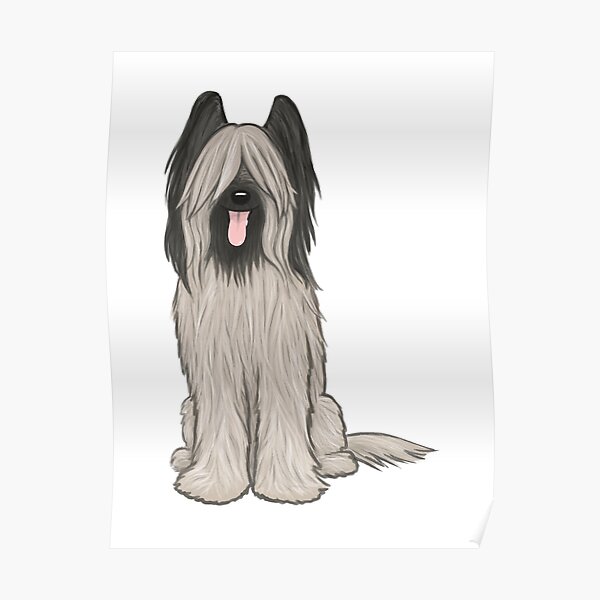 Póster «Perro de dibujos animados de Briard con flequillo largo» de ...