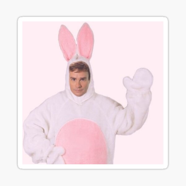 "Wilson Bunny Meme" Sticker for Sale by EarwigDesigns | Redbubble