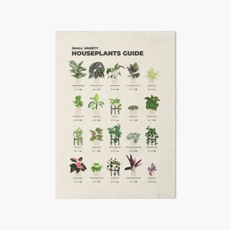 "Illustrated Small Variety Houseplants Chart" Art Board Print for Sale ...