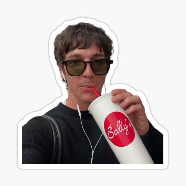 "Role Model" Sticker for Sale by camillefllmml | Redbubble