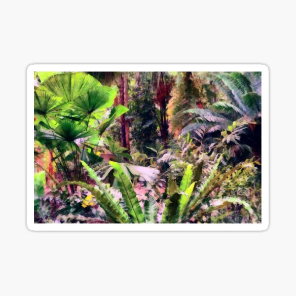 "Tropical Rainforest" Sticker for Sale by OzCamera | Redbubble