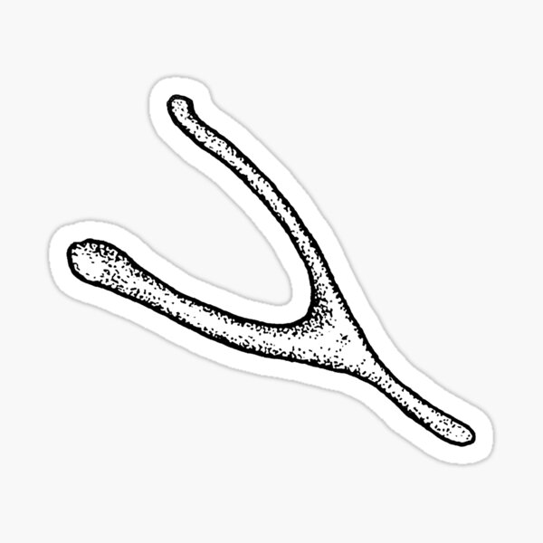 "Wishbone" Sticker for Sale by TheDormantAbyss | Redbubble