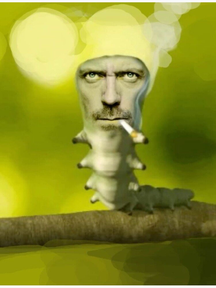 "House Caterpillar Meme" Poster for Sale by EarwigDesigns | Redbubble