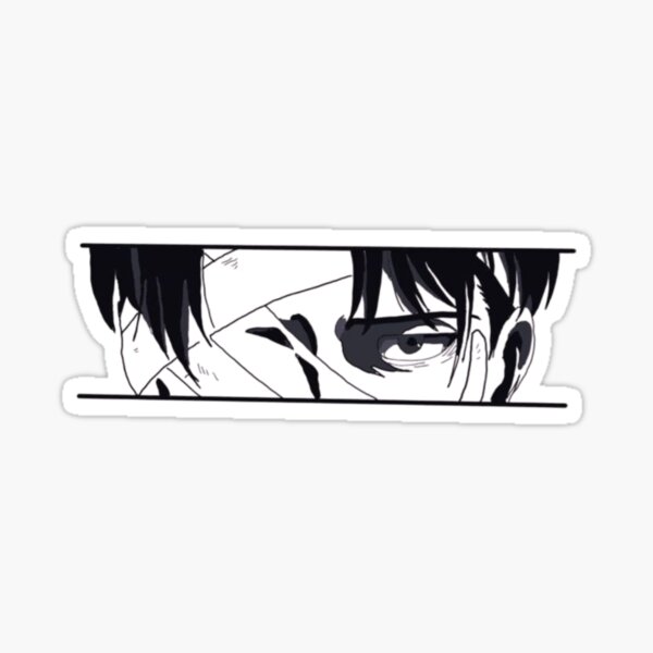 "Levi eye" Sticker for Sale by Dikkumbura | Redbubble