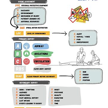 "Emergency Medical Responder Poster | First Aid Flowchart | EMS ...
