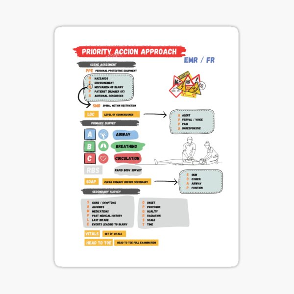"Emergency Medical Responder Poster | First Aid Flowchart | EMS ...