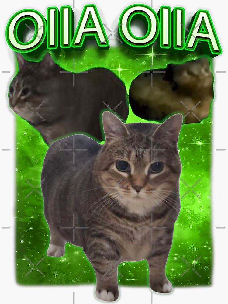 "Spinning Cat Meme Funny oiia oiia Spinning Cat Meme Oiiai Oiiiai Cat ...
