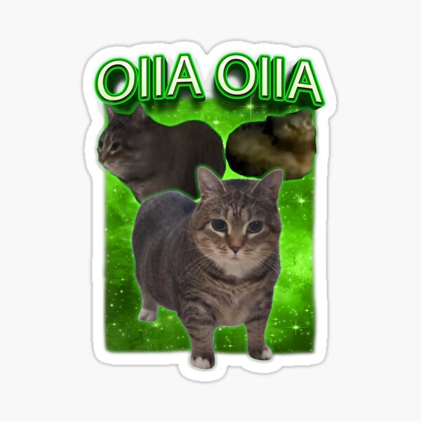 "Spinning Cat Meme Funny oiia oiia Spinning Cat Meme Oiiai Oiiiai Cat ...