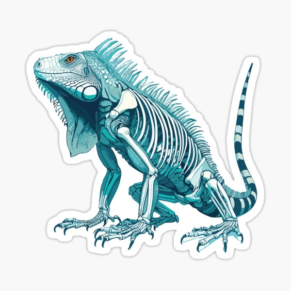 Anatomía De La Iguana