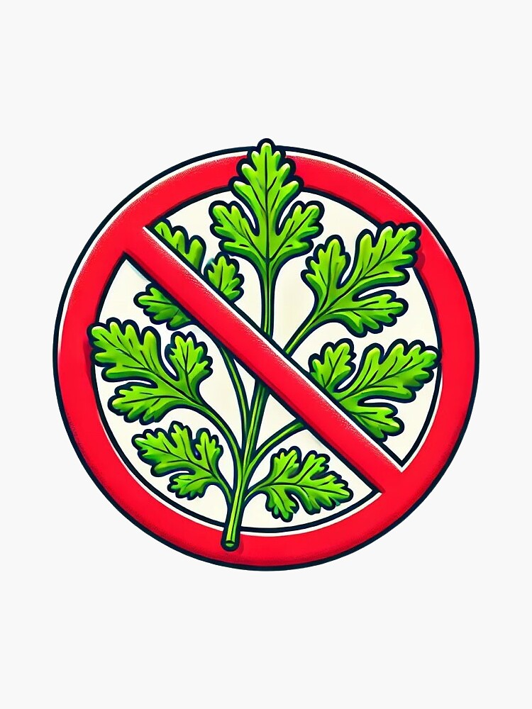 "'No Coriander' Sticker" Sticker for Sale by ihatecoriander | Redbubble
