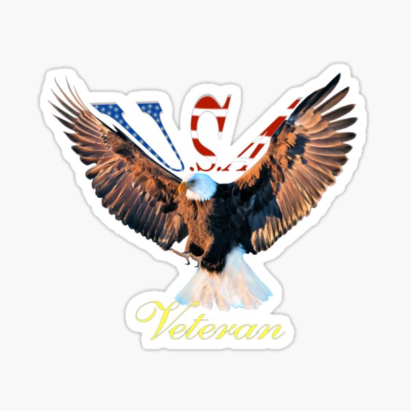 Veteran Dignity Masks Merch & Gifts for Sale | Redbubble