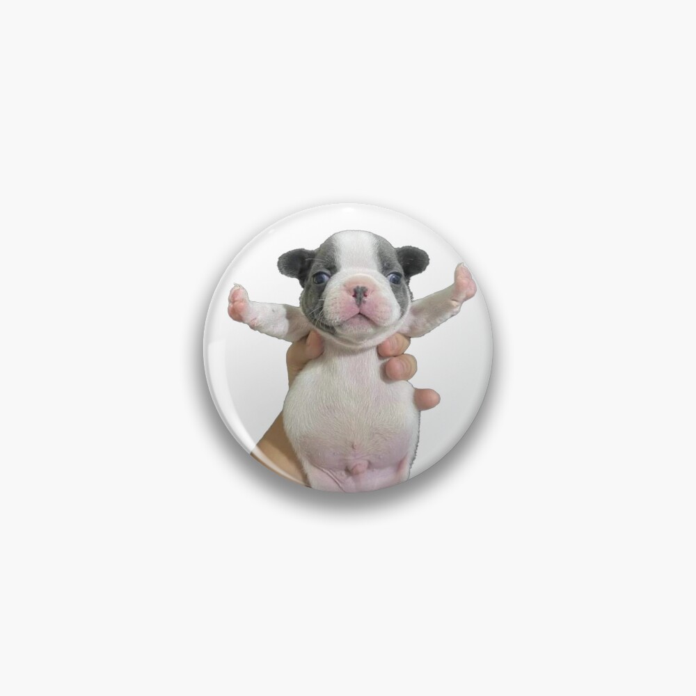 "Stop Fighting Pibble" Sticker for Sale by buryneetshop | Redbubble