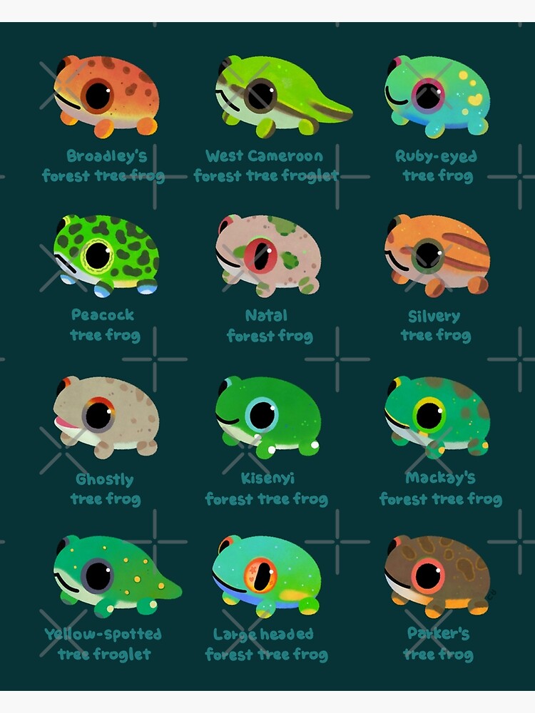 "Forest tree frog" Poster for Sale by pikaole | Redbubble