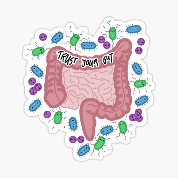 "Trust Your Gut" Sticker for Sale by mhswaney | Redbubble