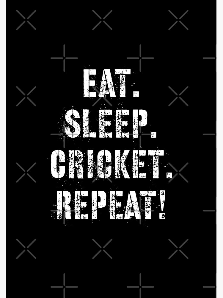 "Cricket IPL Quotes" Poster for Sale by So Witcasm ? | Redbubble